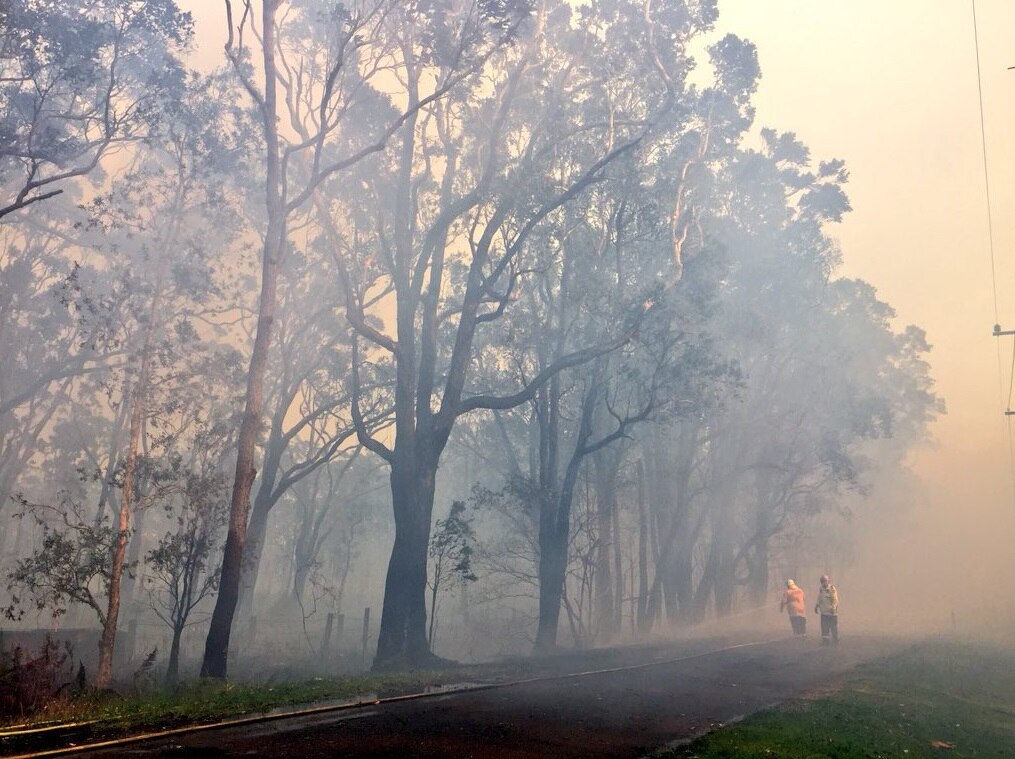 Mornings - ABC Newcastle