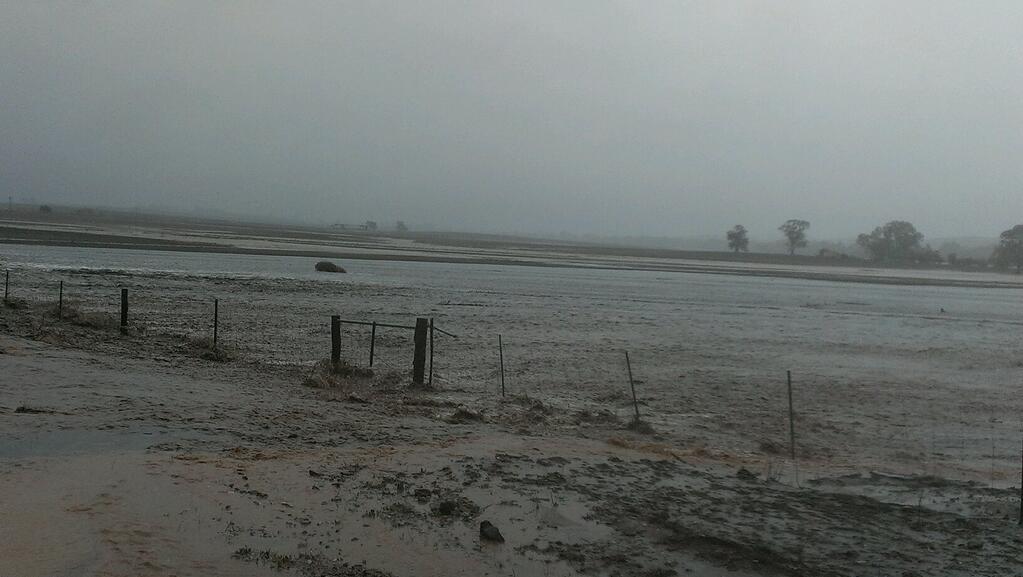 Seeding starts: the beginning of a new season - ABC News