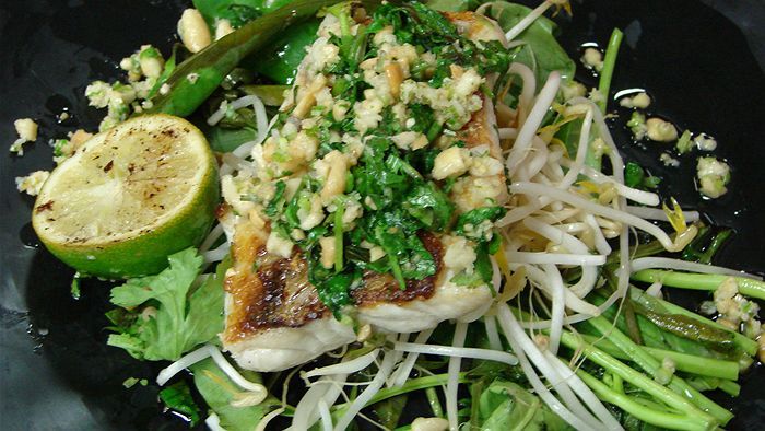 Scorched King Snapper and Asian Style Pesto - ABC News