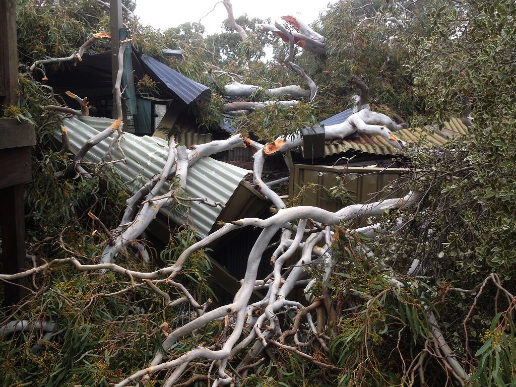 SA weather: Gale force winds batter the state with heavy rain forecast ...