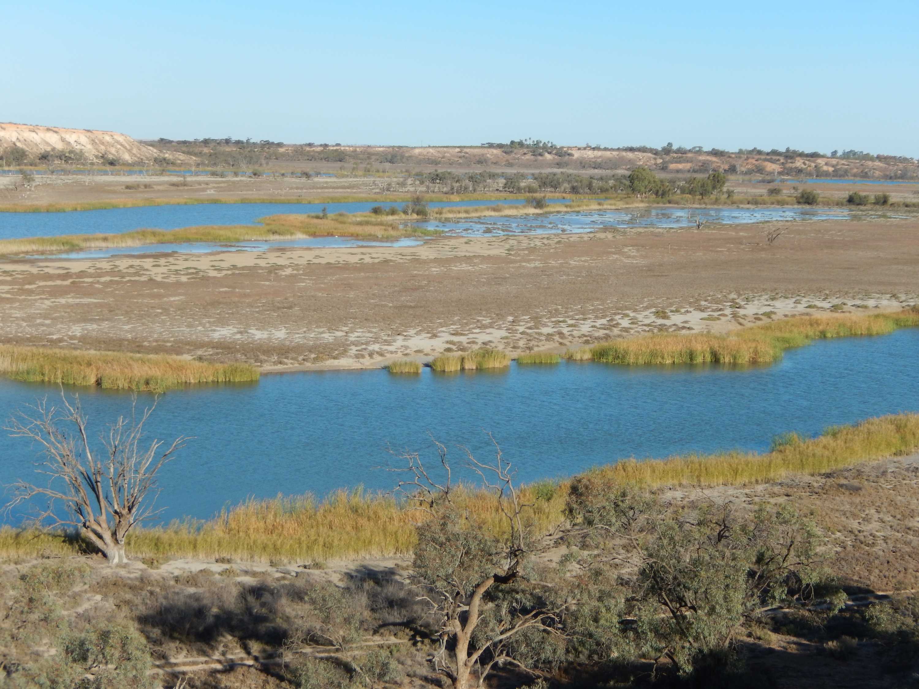 Riverland's Pike Floodplain projects to breathe life into environment ...