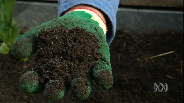 Kids in the Garden, Ep 1: Soil – healthy dirt makes healthy plants ...