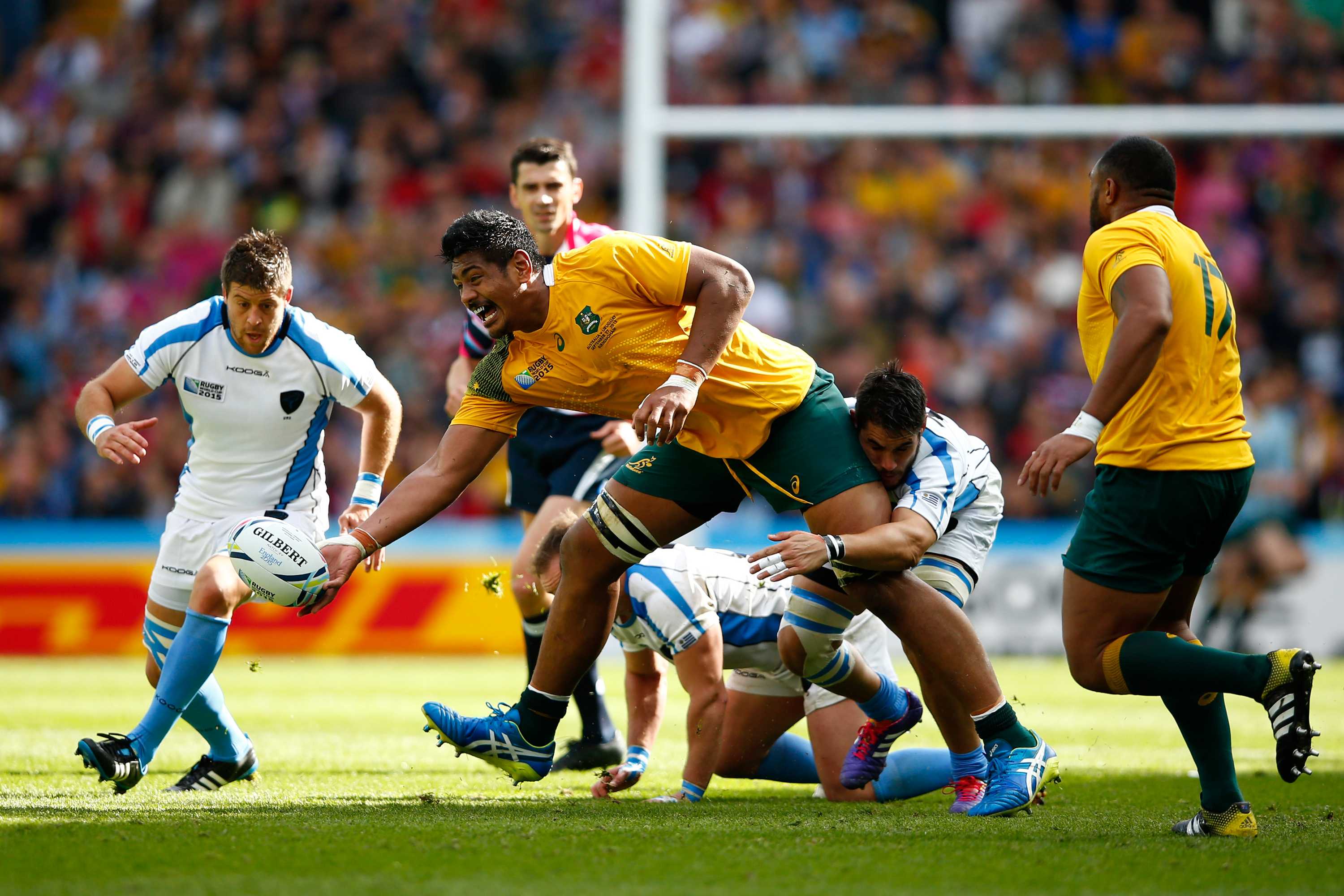 Rugby World Cup: Wallabies lose Will Skelton, Wycliff Palu for entire ...