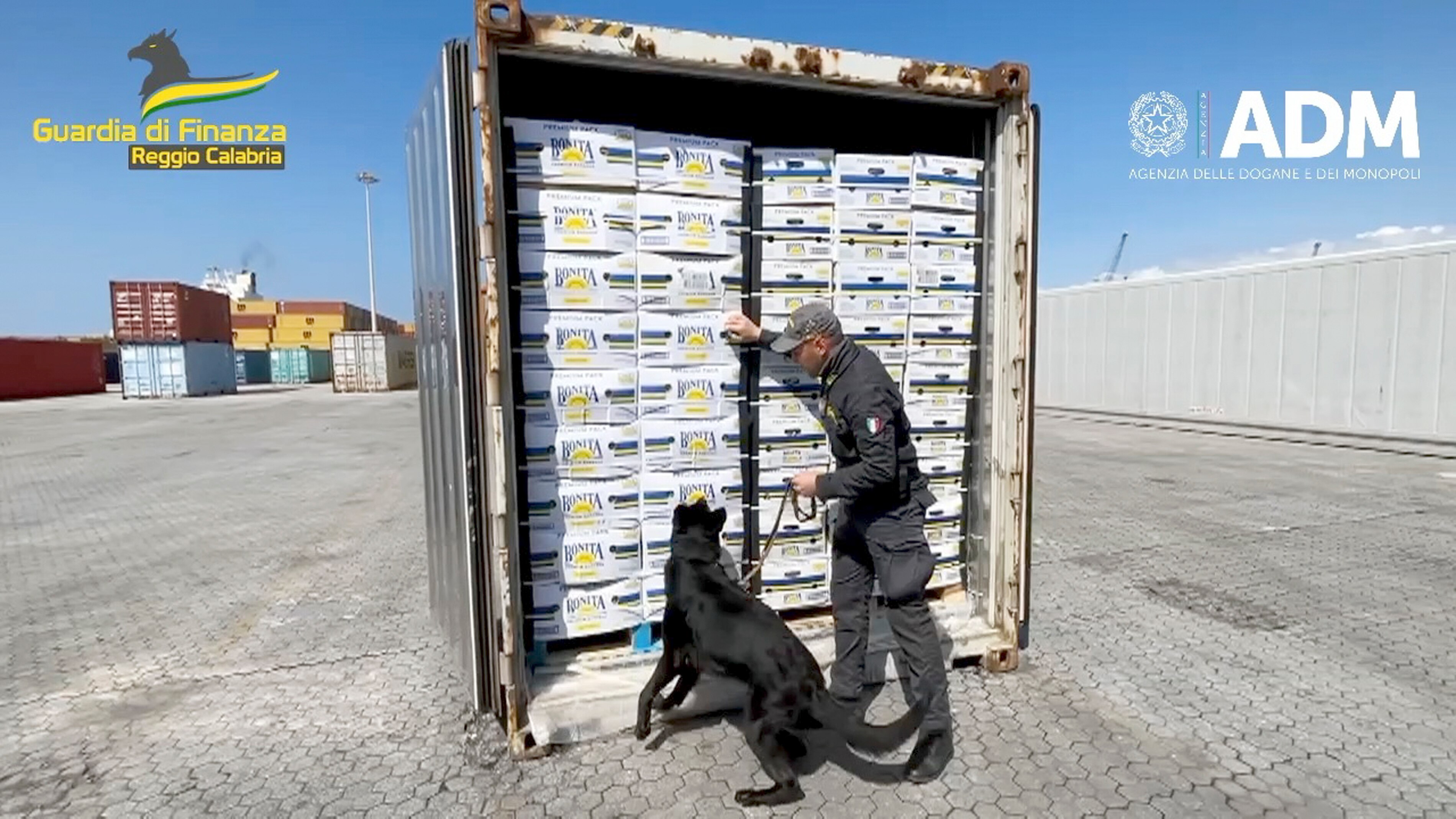 Italian sniffer dog finds more than 2,700 kilograms of cocaine in ...