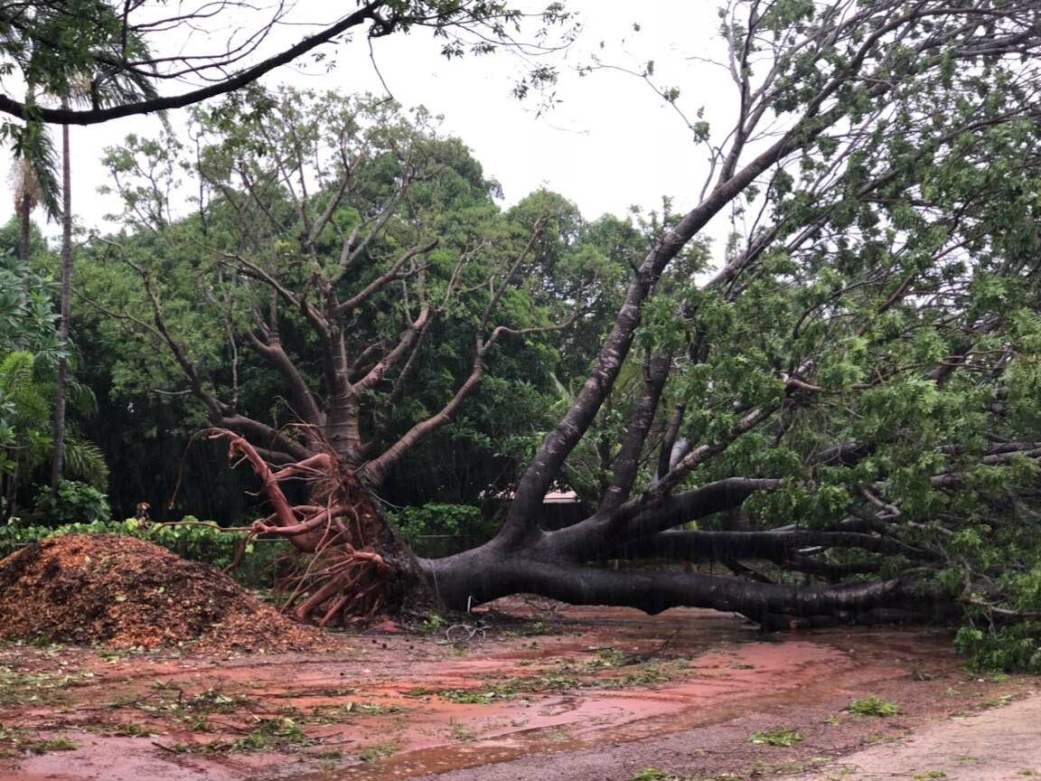Flood-stranded truckers and tourists a financial boon for Kimberley ...
