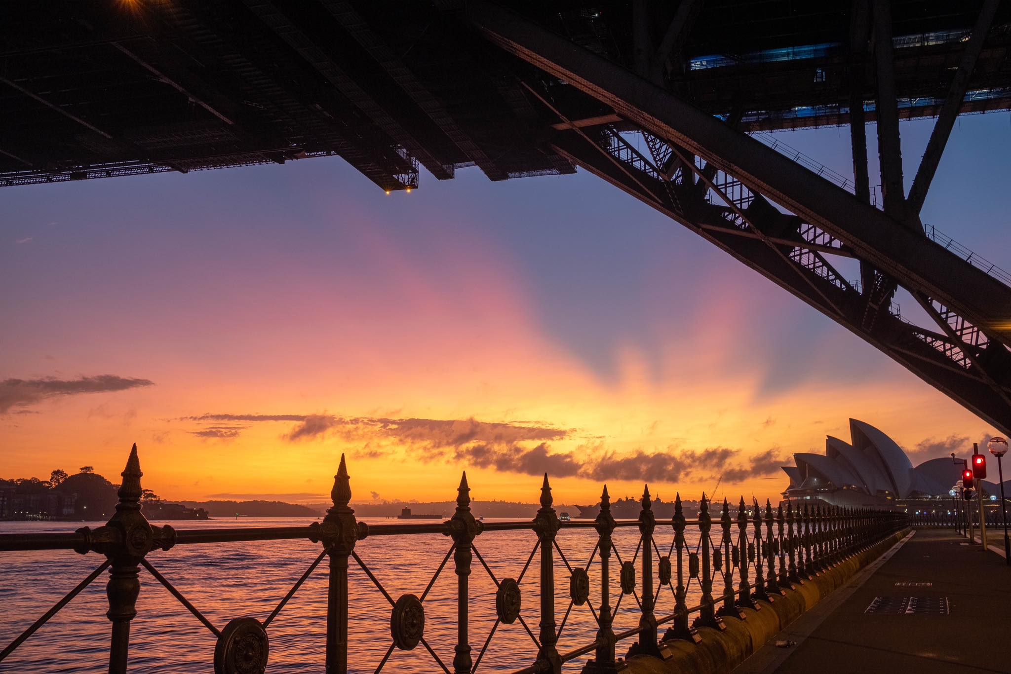 Fears of mass predator attacks for Mary River's endangered 'bum ...