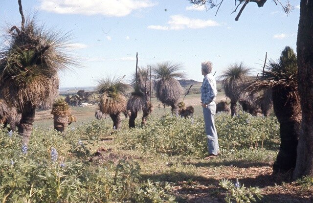 Uncovering the inner life of Randolph Stow - ABC listen