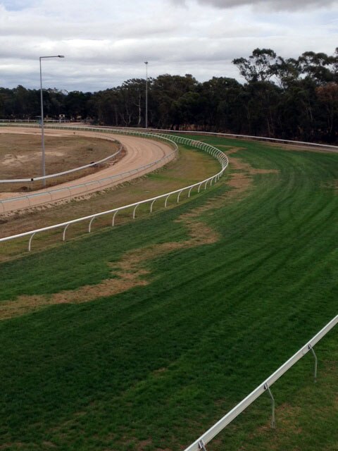 Stawell Gold Cup to be cancelled after horse racing track grass ...