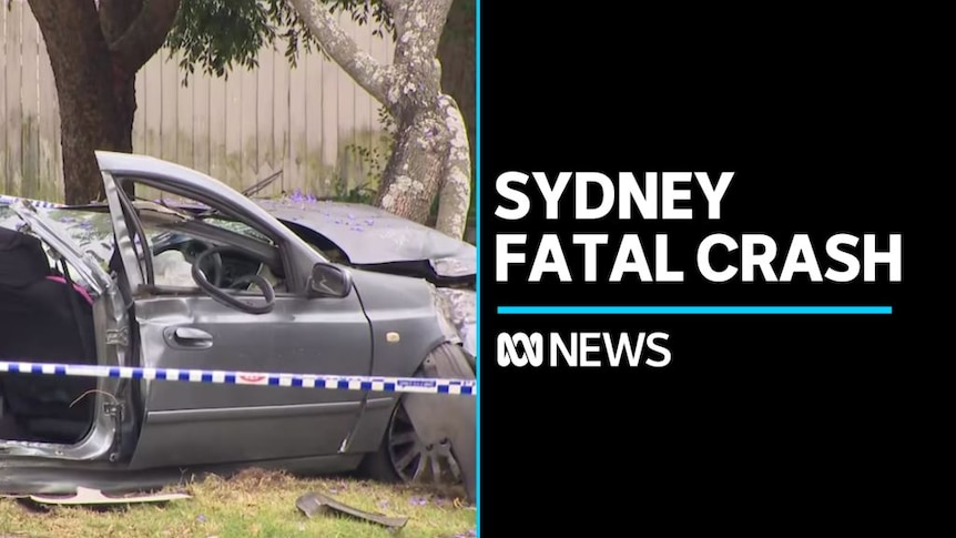 Car crash in Sydney kills two children - ABC News Car crash in Sydney kills two children - ABC News