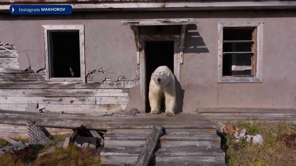 Meet your 2024 Young Australians of the Year - ABC News