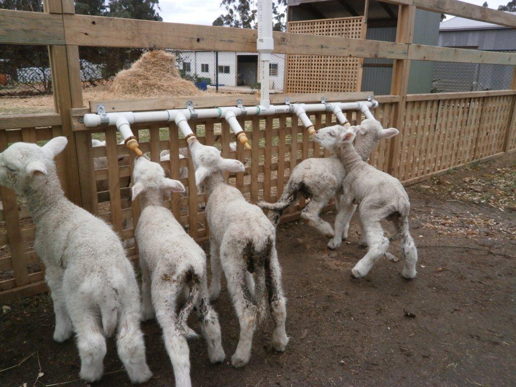 The WA prison that offers inmates certificates in horticulture and ...