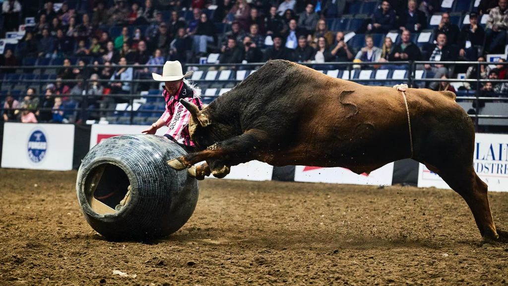 Rampaging bull takes on Canadian rodeo clown - ABC News