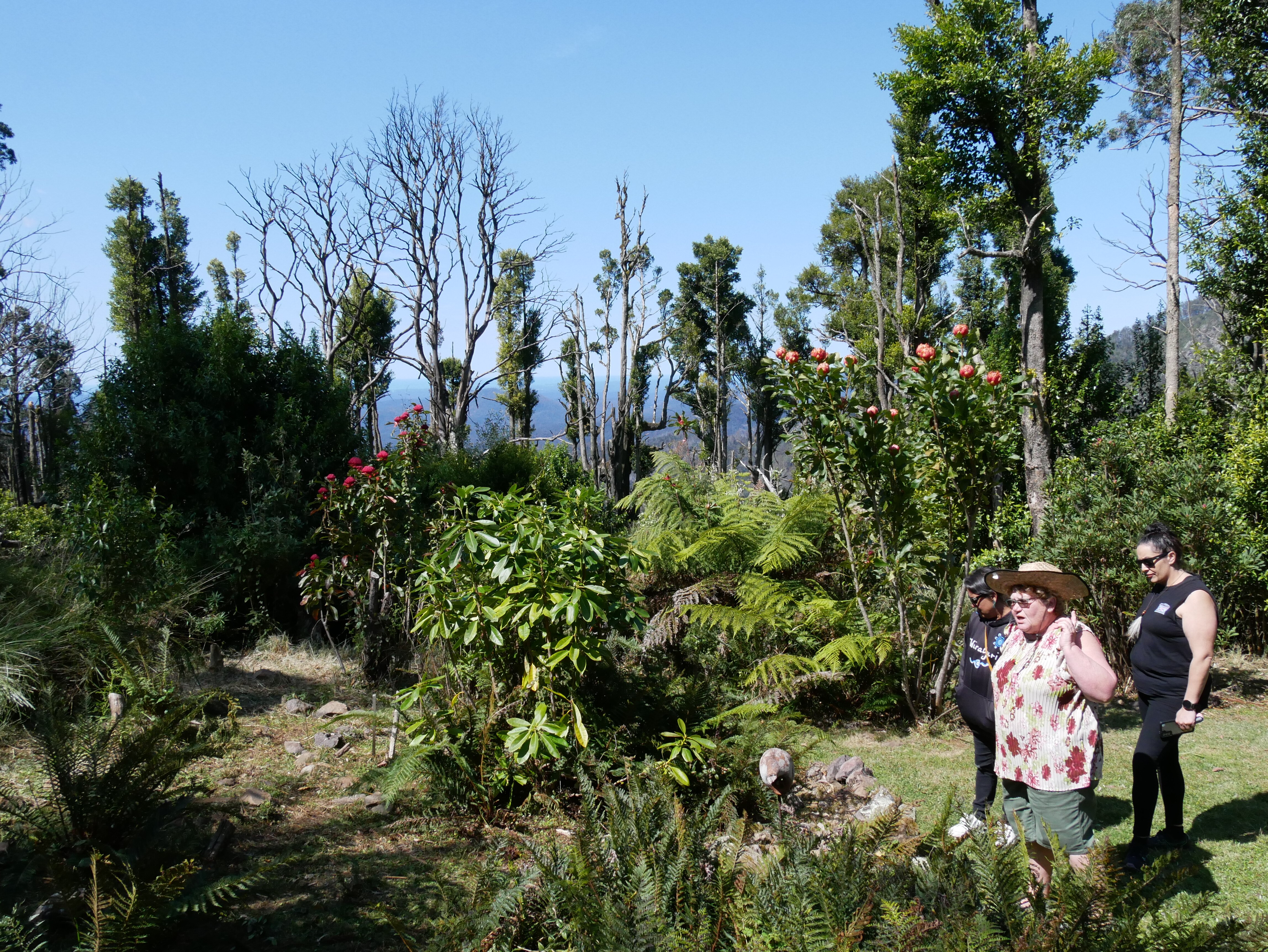 Walbunja traditional custodians gifted estate of activist, academic Val Plumwood in NSW - ABC News