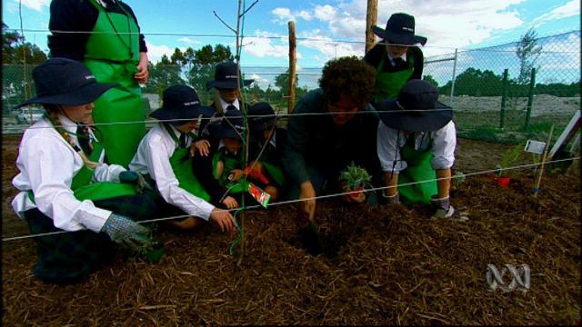 Gardening Australia: Planting an orchard - ABC Education