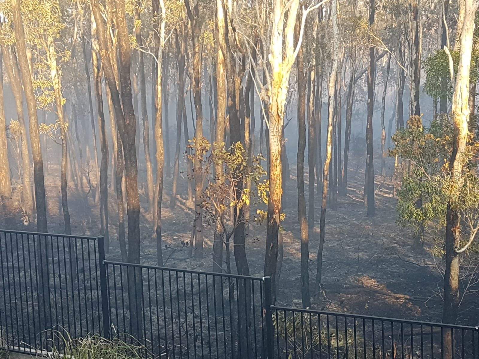 Queensland Sunshine Coast bushfire emergency sees flames come within ...