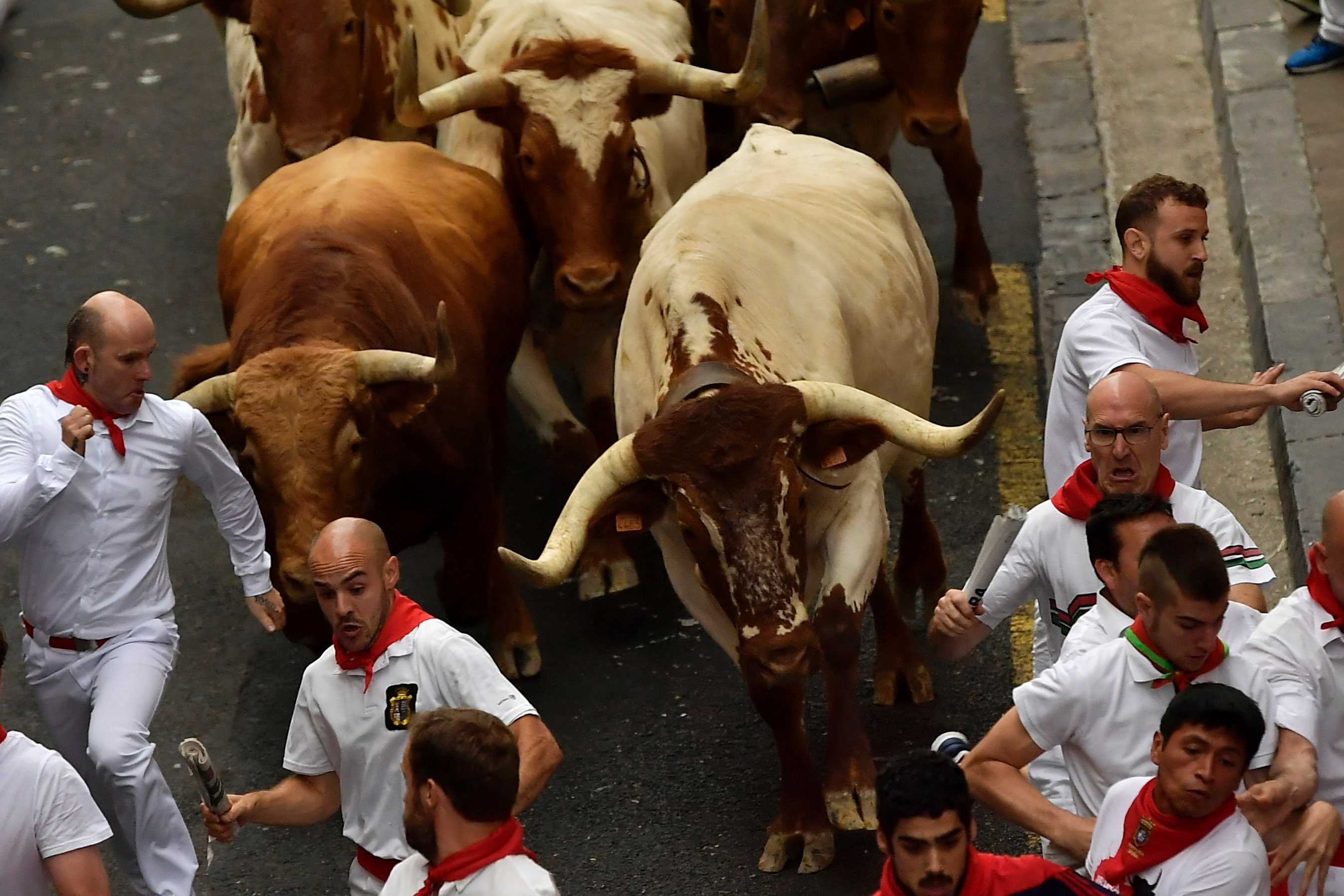Pamplona festival's first bull run of year sees man gored in neck - ABC ...