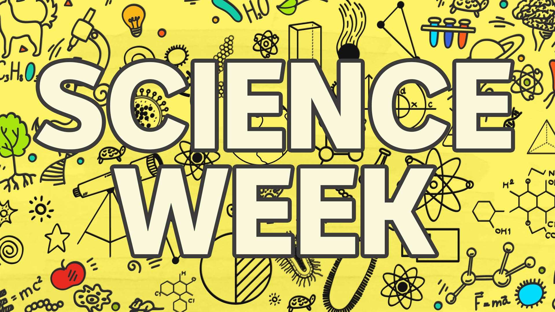 Sir Douglas Mawson - Science Legends - Behind The News