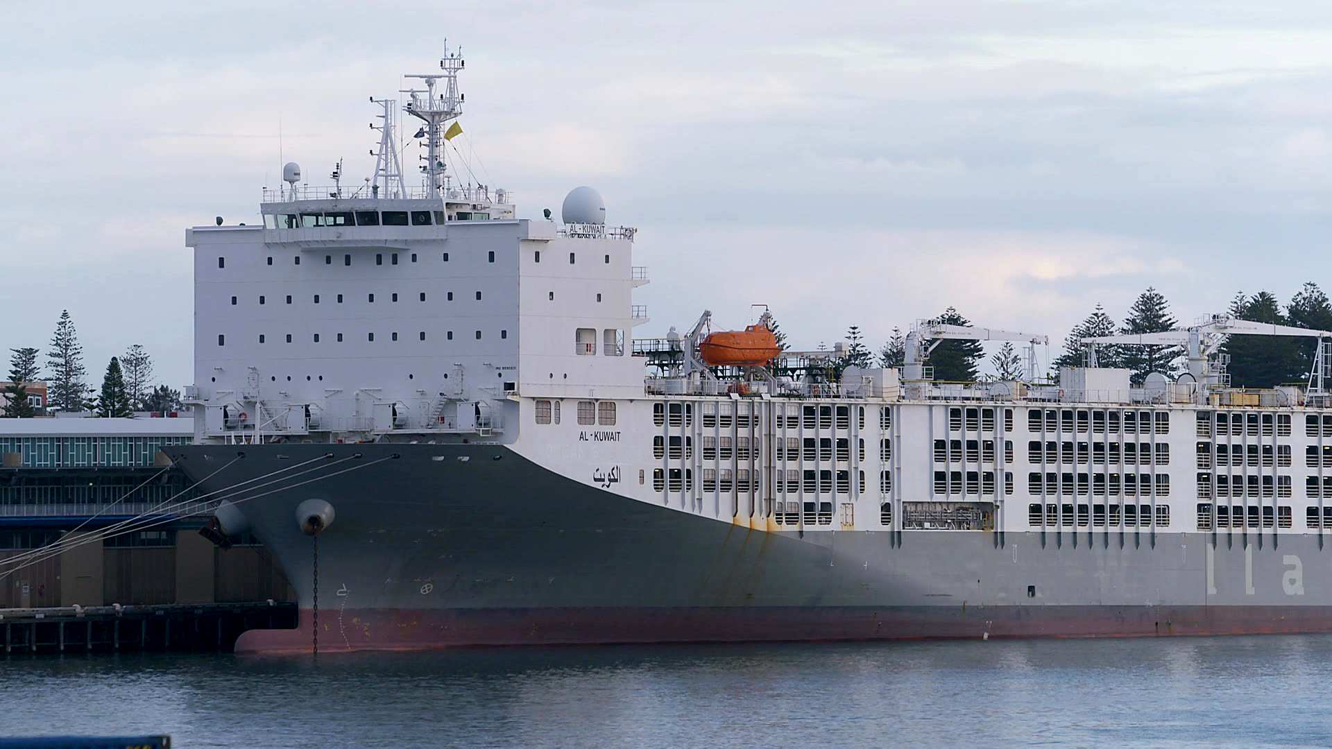 Coronavirus outbreak on live export ship sees WA and Federal ...