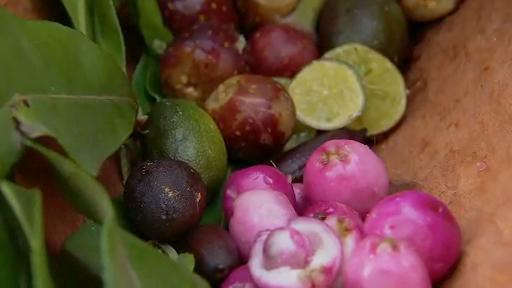 Gardening Australia: Australian edible plants - ABC Education