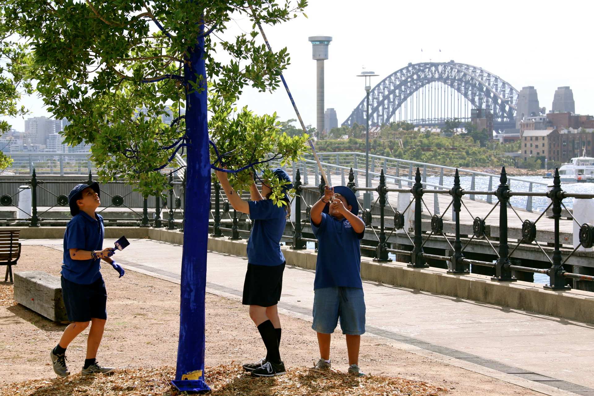 Artist paints Pyrmont trees blue to raise awareness for global ...