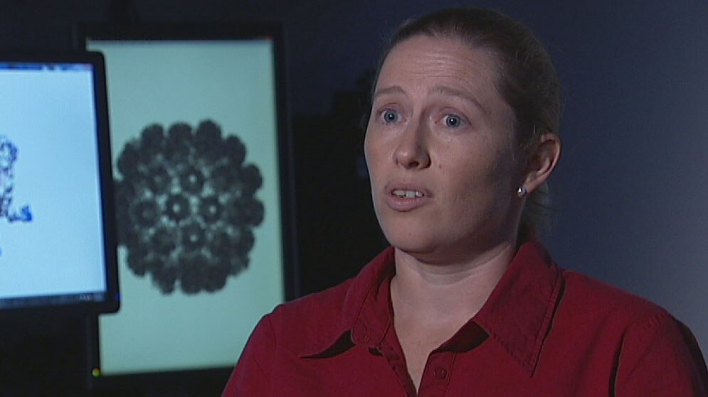Queensland scientists work with WHO to remove live virus from polio ...