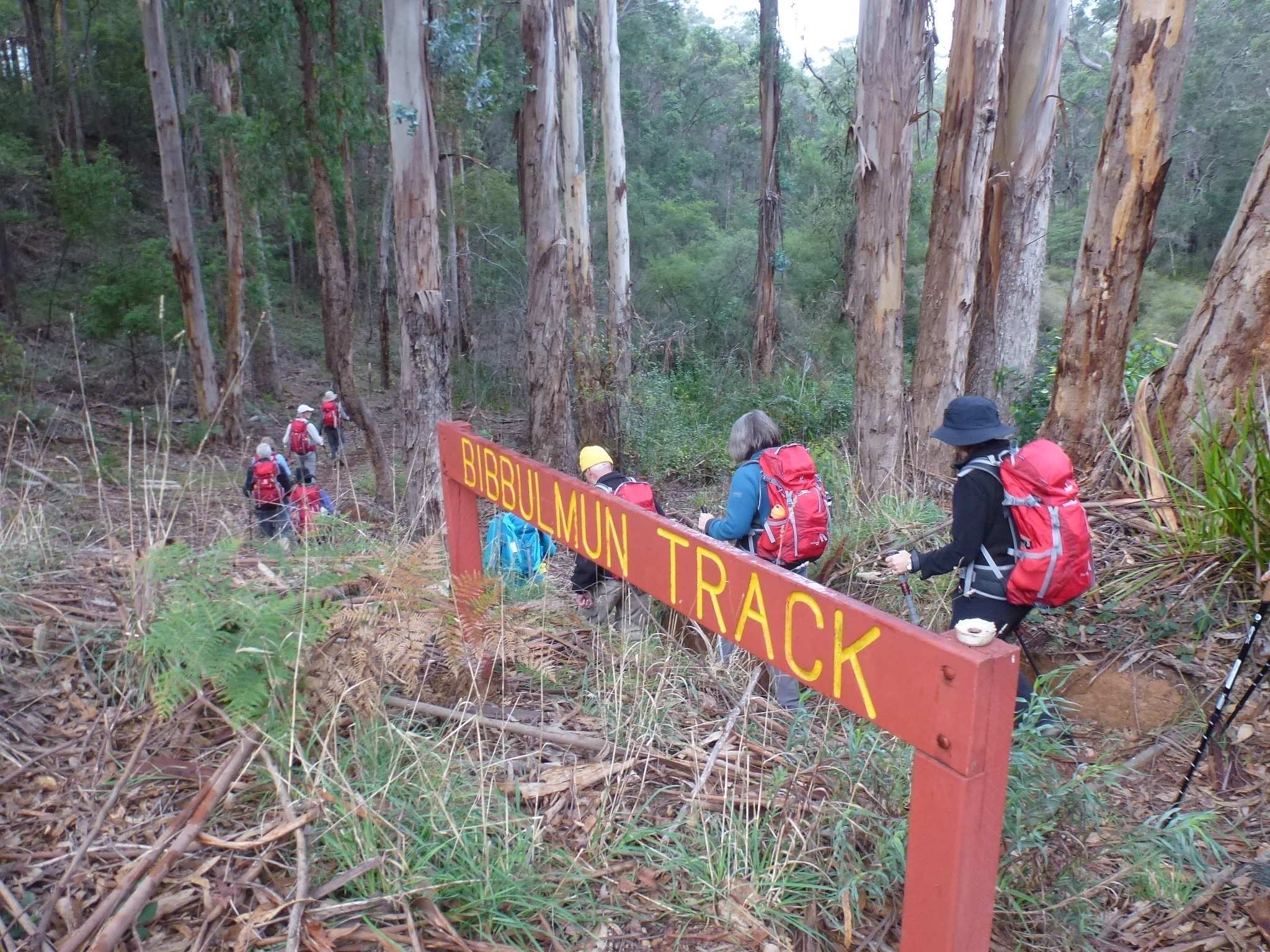 Missing woman Nada Rokic found 'tired and cold' after 'bush doof' south ...