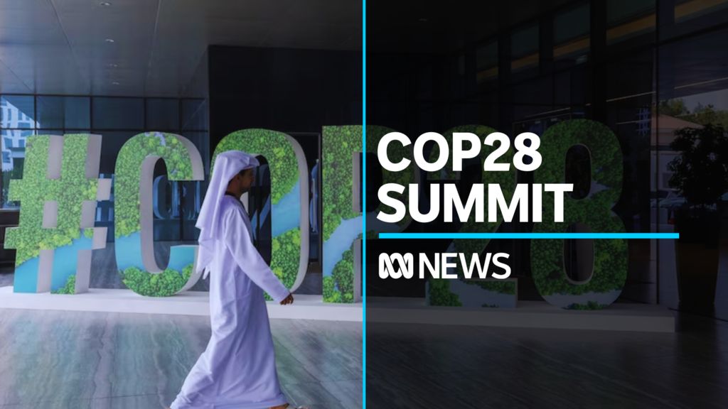 Over a hundred countries join in renewable energy commitment - ABC News