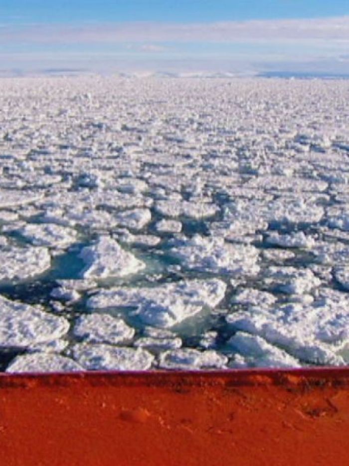 People also need to adapt to climate change, professor tells conference ...
