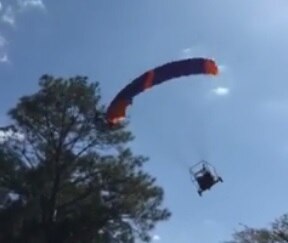 Vision captures moment powered parachute clips tree, crashes near crowd ...