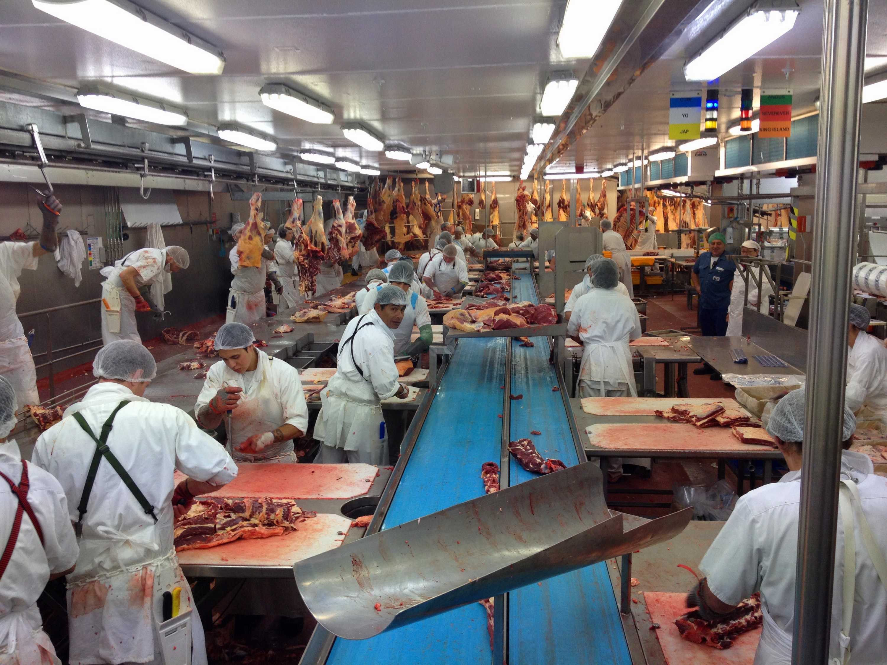 Meatworks manager calls on Government to engage local jobseekers over ...