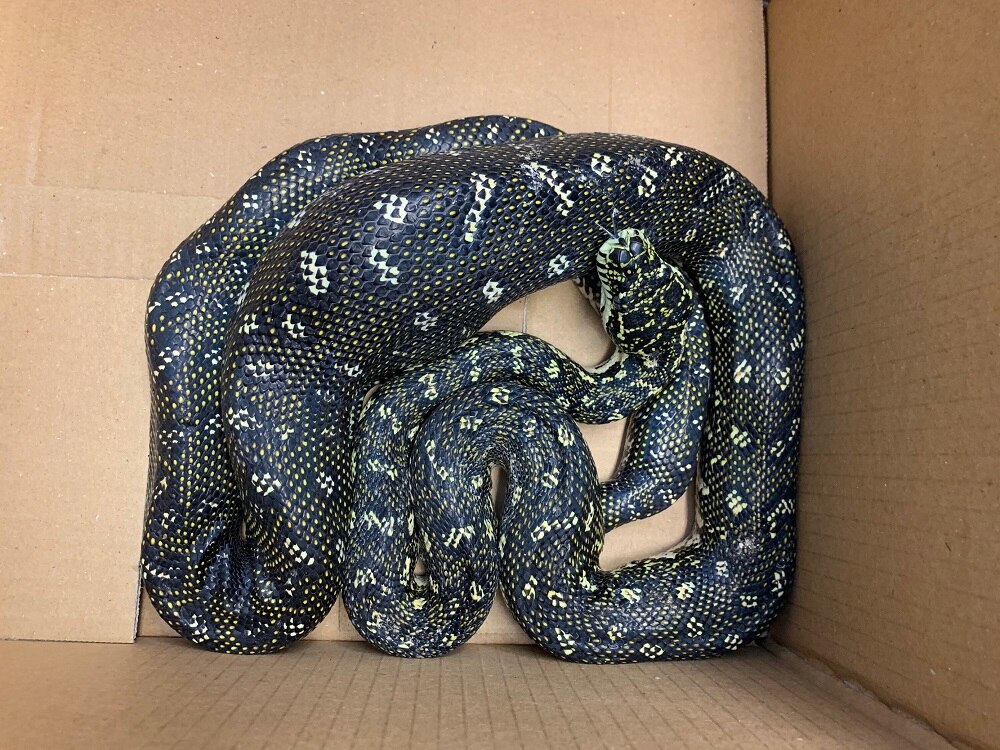 The Mystery of the Stanmore Snake - ABC listen