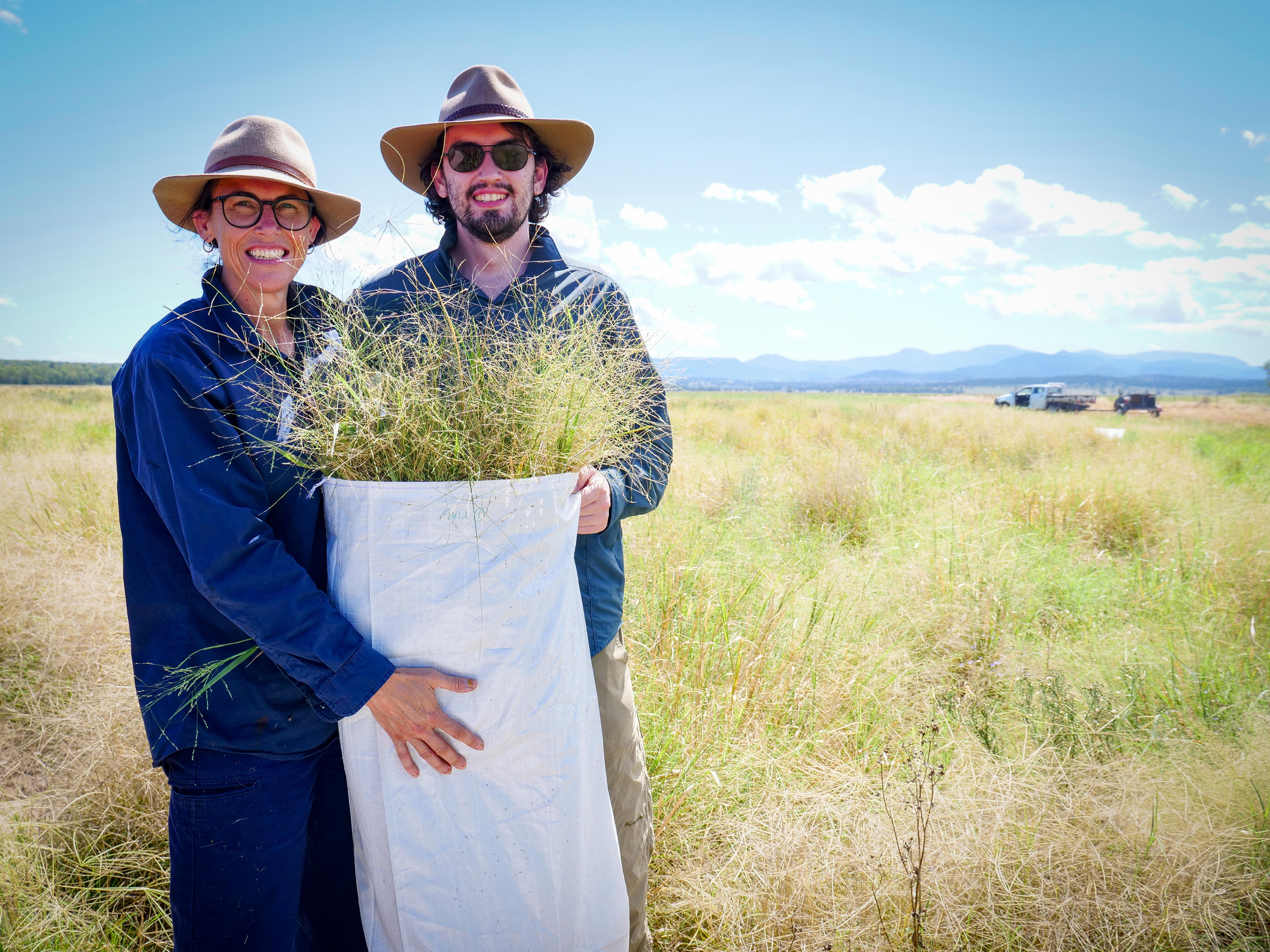 Native grains harvest brings together culture, food and regenerative ...