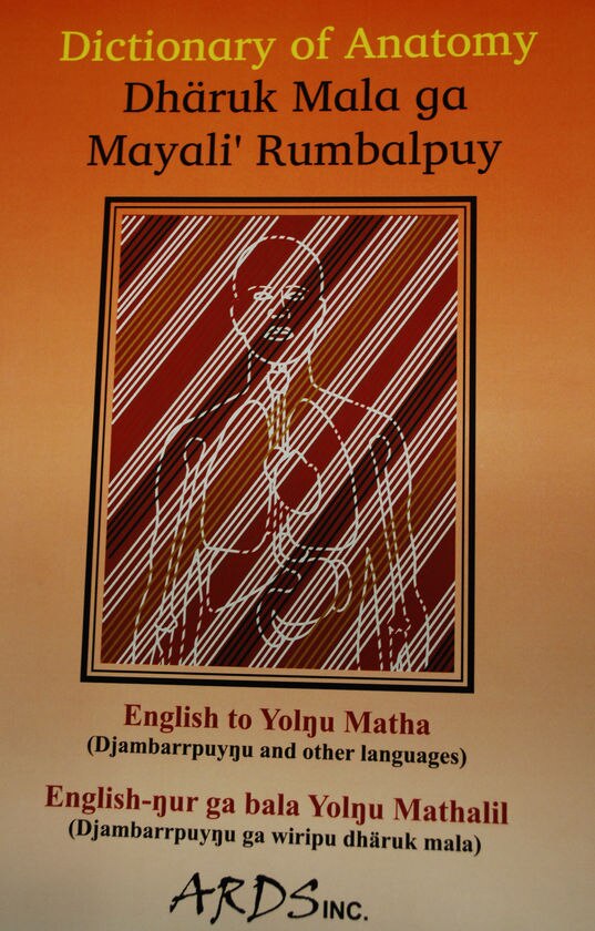 Dictionary turns Aboriginal words into good health - ABC News