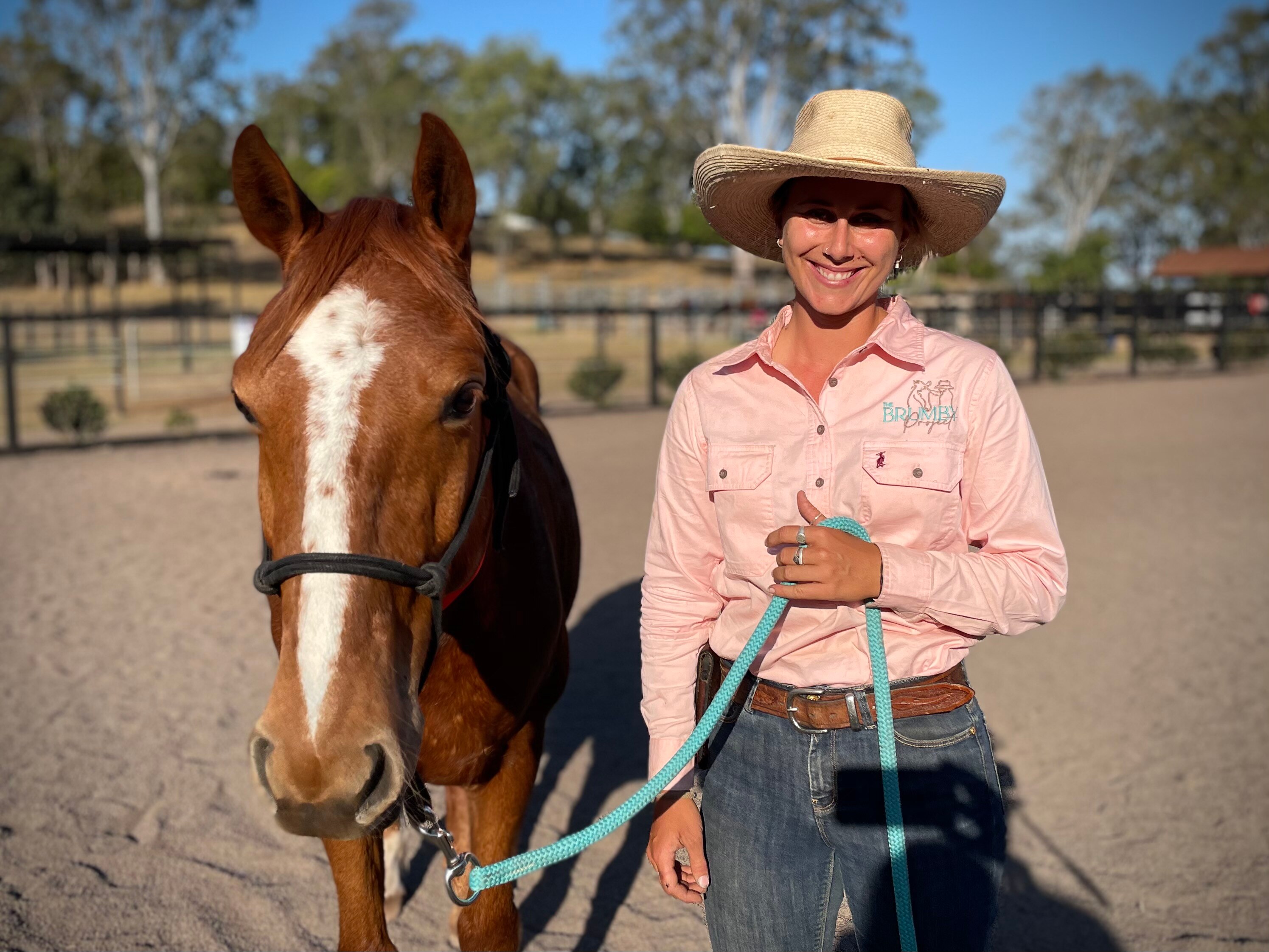 The Brumby Project shows wild horses' big potential - ABC News