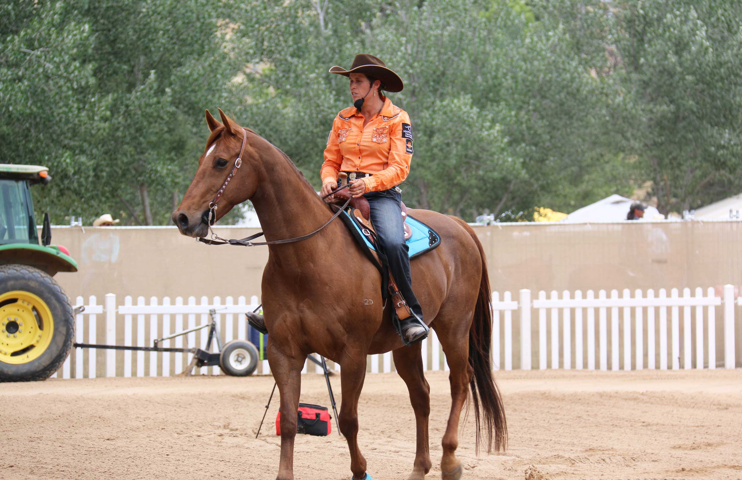 Canberra horse lovers saddle up for Unbridled festival - ABC News