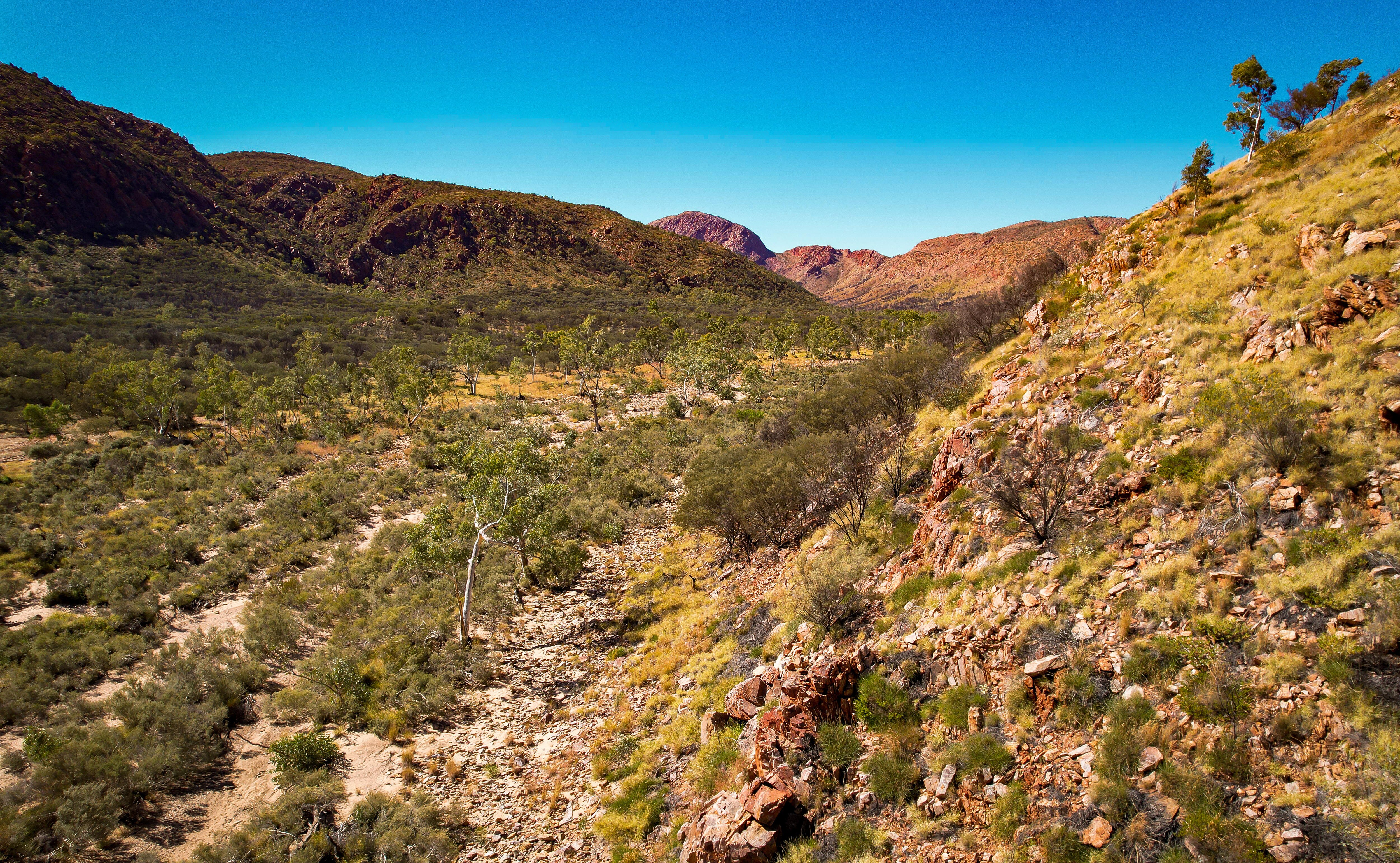 Soul Search with Dr Meredith Lake - ABC listen