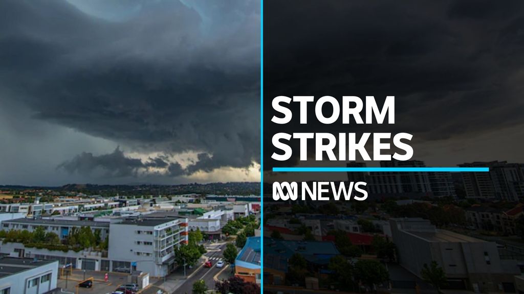 Massive clean-up effort begins after storm rips through Canberra - ABC News