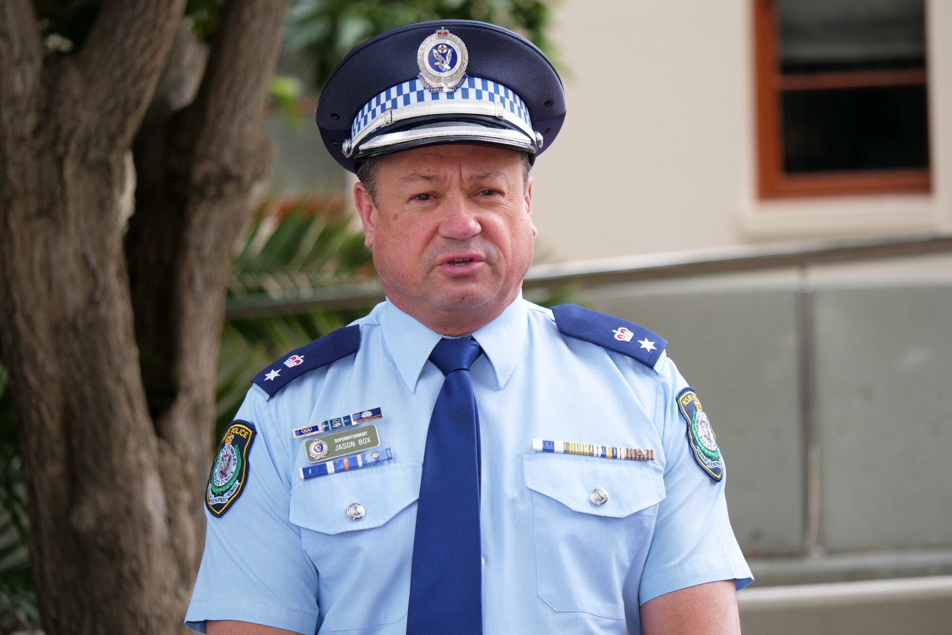 Man charged with murder over alleged Illawarra stabbing, woman dead in ...