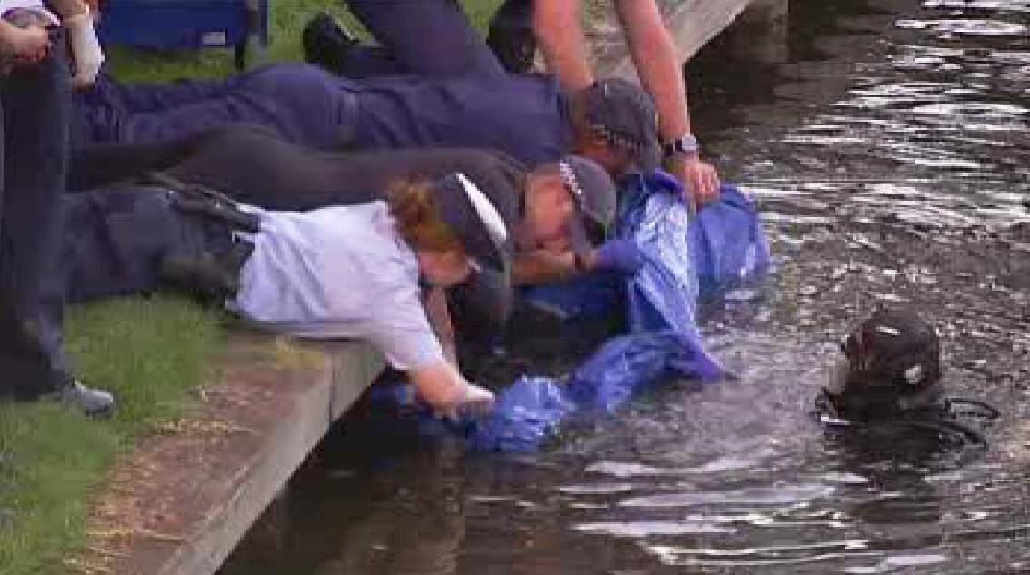 Swimmer filmed before drowning in river - ABC News