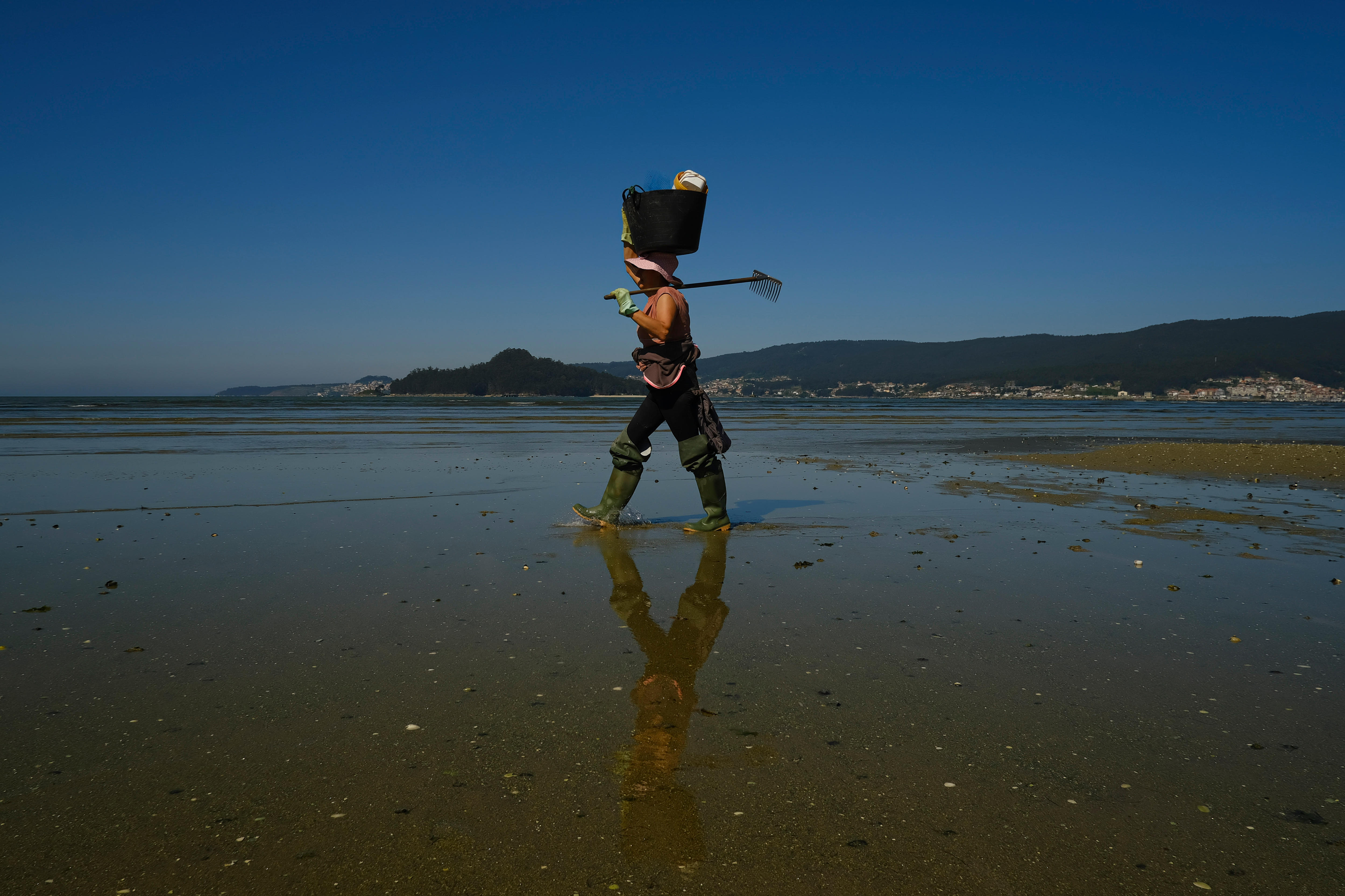 Meet Spain's 'peasant farmers of the sea', the women who spend their ...