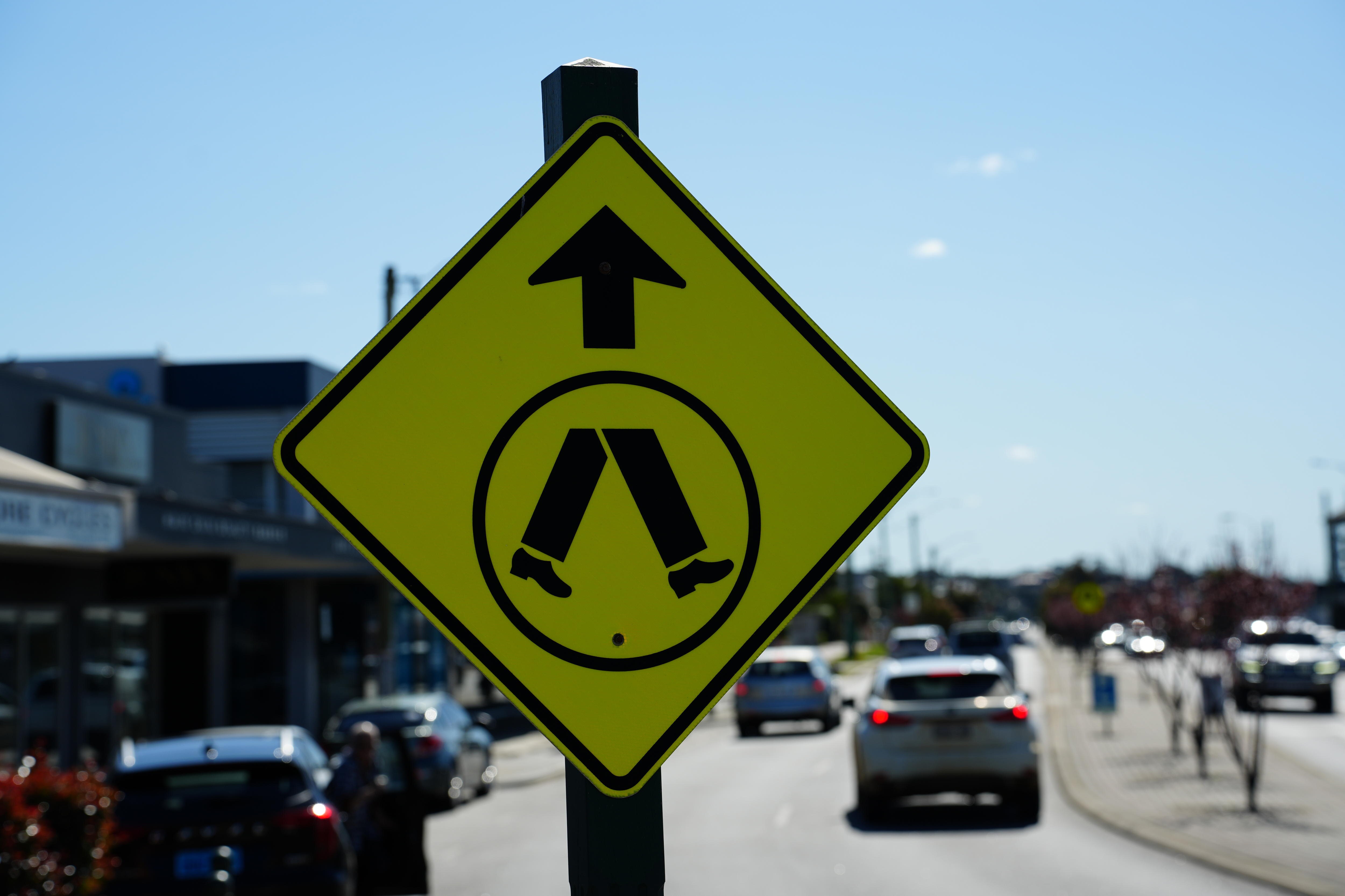 Albany residents call for lower speed limits after van strikes ...