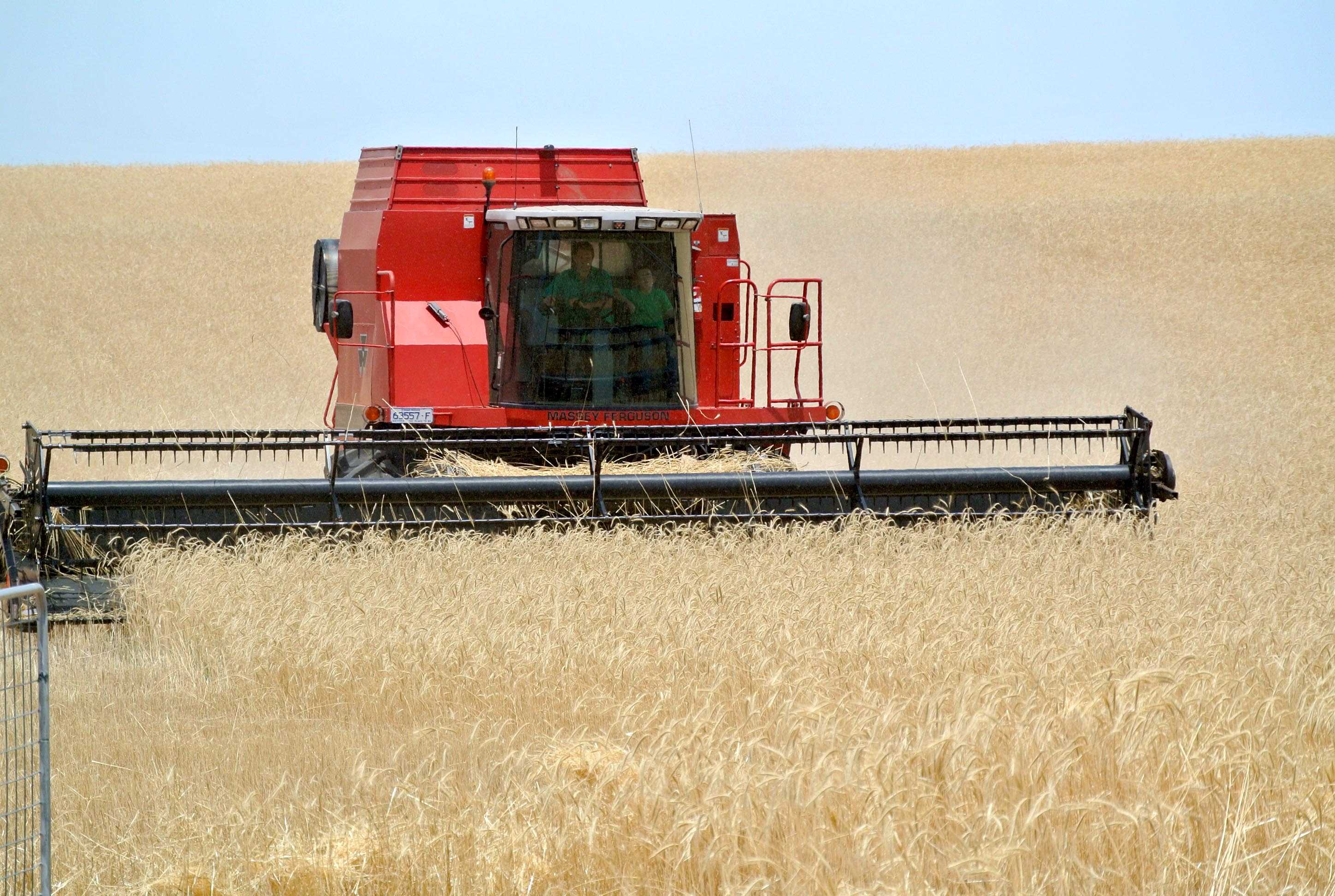 South Australian farming family capitalising on growing demand for ...