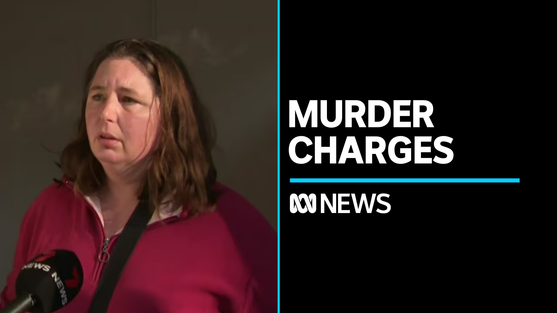 Erin Patterson appears in court charged with murder - ABC News