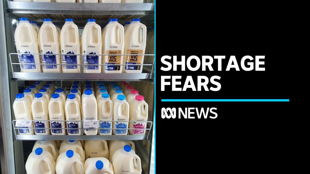 Dairy workers' strike sparks fears of milk shortage in Victoria - ABC News