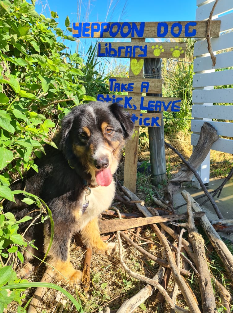 Sharing books through Street Libraries spreads love of reading and ...