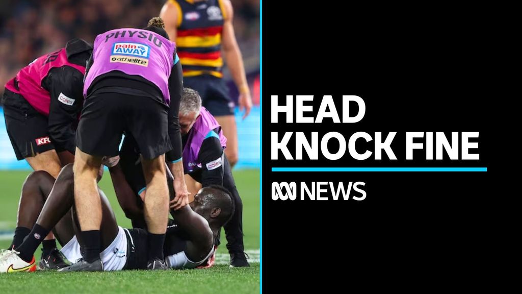 Street artists Drapl and The Zookeeper tackle a 'rural mural' in ...