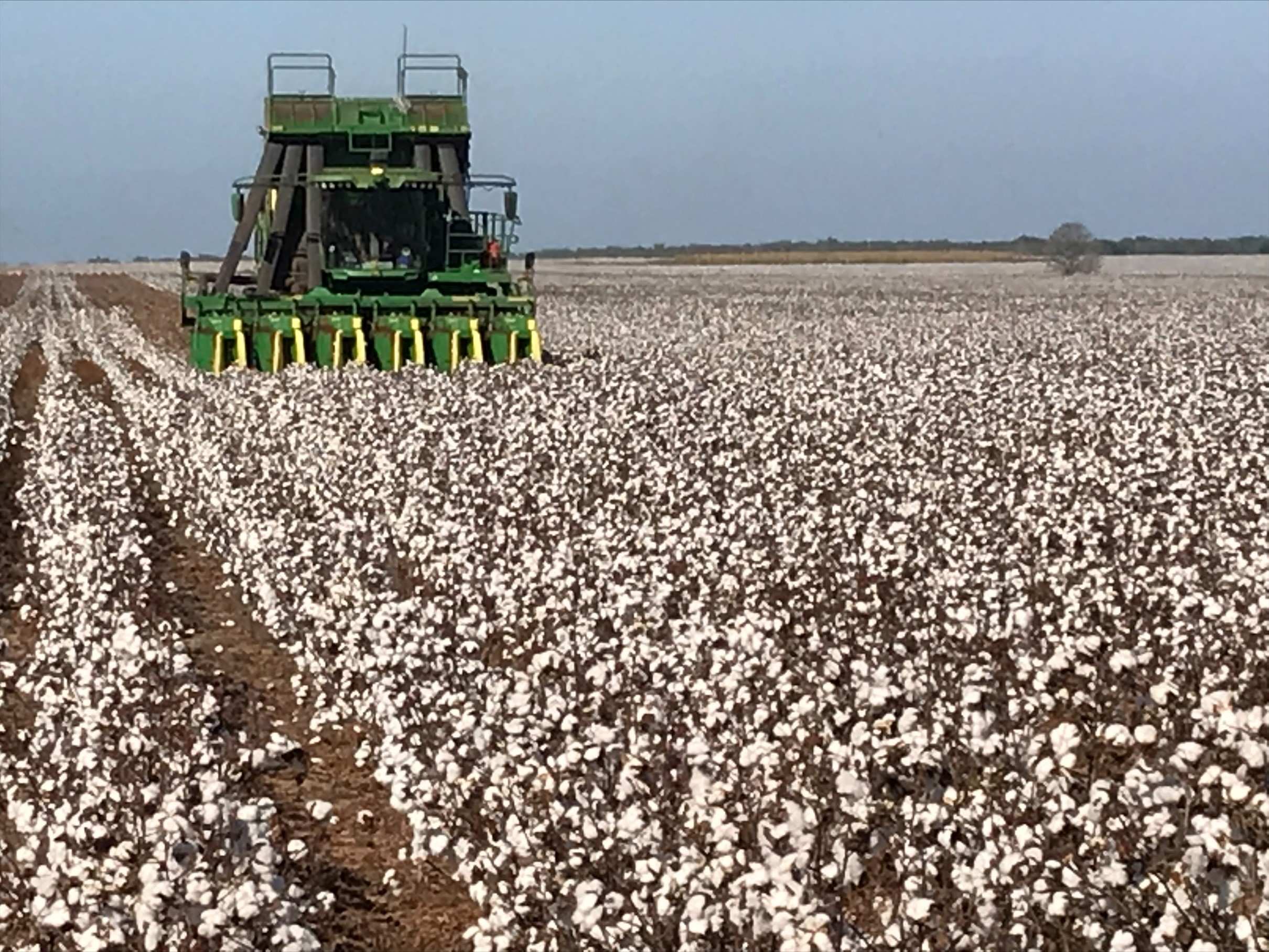 NT Country Hour - ABC listen