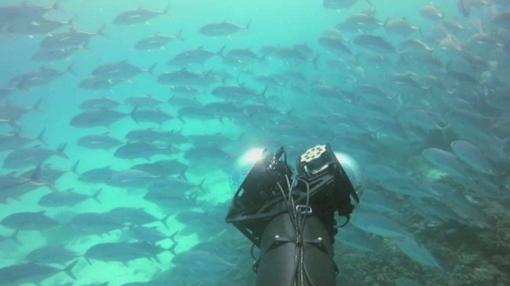 Scientists capture virtual reef - ABC News