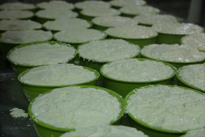 Ricotta cheese - ABC Everyday