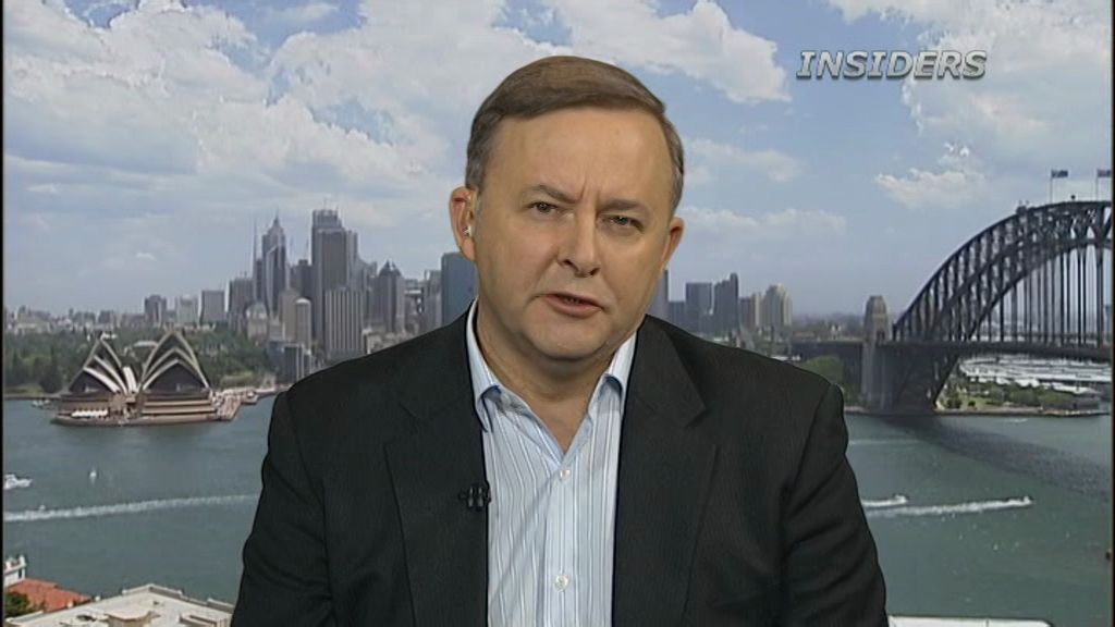ALP leadership contender Anthony Albanese joins Insiders - ABC News